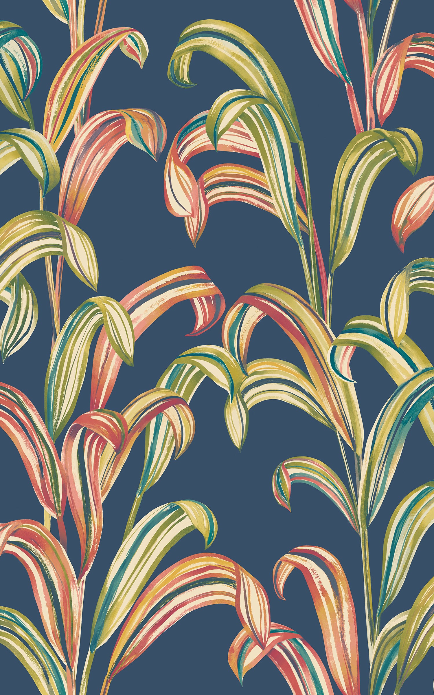 WALLPAPER – Ohpopsi